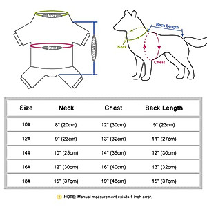 Didog Fleece Lined Warm Dog Winter Coat for Small Dogs & Cats,Reflective Cold Weather Dog Jacket Sport Vest with Zipper Closure and Leash Ring for Walking Hiking(Chest: 14" Back Length: 12", Hot Pink)
