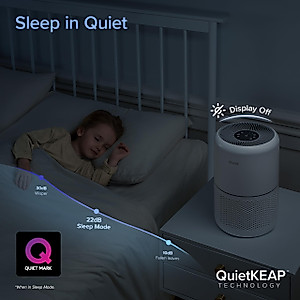 LEVOIT Air Purifiers for Home Bedroom Core 300S/Core300S-P and Toxin Absorber Replacement Filter Core300-RF-TX