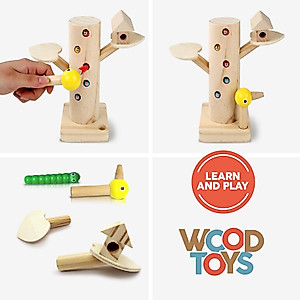 JOJO Fine Motor Skills Toy for Toddlers Montessori Wooden Toys Magnetic Bird Toy Set Woodpecker Catching Bug Game for Boy and Girl Early Preschool Learning Toys Educational Gift 2 3 4 5 Years Old