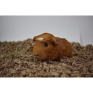 Healthy Pet HPCC Natural Bedding, 14-Liter (Тhrее Pаck)