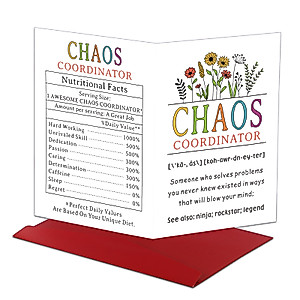 Raddimelo Boss Christmas Cards, Chaos Coordinator Gifts, Stocking Stuffers for Leader Coworkers, Boss Gifts for Women, Boss Day Gifts for Boss Boss Lady Leader, Birthday Gifts, Veterans Day Cards