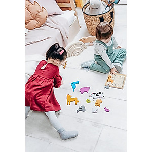 Childgoo 2 in 1 Wooden Farm Animal Sorting & Stacking Toys Wooden Blocks and Puzzles for Kids Ages 3-5 Montessori Gifts for Toddlers Boys & Girls Ages 3 4 5 6 Years Old (Farm Animal)