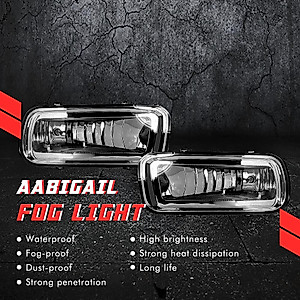 Driving Fog Lights Lamps OE Style Replacement for 2004 2005 2006 Ford F150 With H10 12V 42W Halogen Bulbs Replaces # FO2592197 FO2592209 FO2593197 FO2593209 4L3Z15200BB 5L3Z15201A (Smoke Lens)