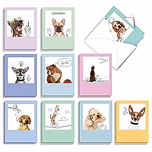 The Best Card Company - 20 Boxed Dog Cards with Envelopes (4 x 5.12 Inch) - Blank Assortment (10 Designs, 2 Each) - Dogs & Doodles AM6582OCB-B2x10