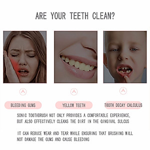 WSYKC Electric Toothbrush USB Charging for 60 Days, One Electric Handle, 4 Replacement Brush Heads, Portable Toothbrush Case, Toothbrush Holder Pink