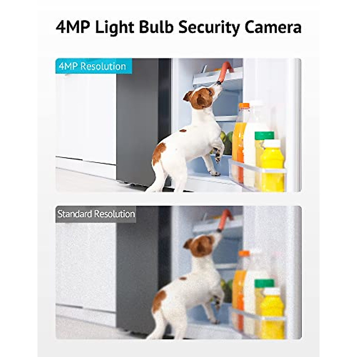 LaView 4MP Bulb Security Camera 2.4GHz, 360° 2K Security Cameras Wireless Outdoor Indoor Full Color Day and Night, Motion Detection, Audible Alarm, Easy Installation, Compatible with Alexa（Black）