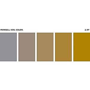 CafePress 2.5YR Mug Ceramic Coffee Mug, Tea Cup 11 oz