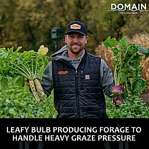 Domain Outdoor Big Sexy Food Plot Seed for Deer, 1/2 Acre, Turnip, Radish, Kale and Forage Rape, High Level of Nutrients & Protein to Support Antler Growth and Health, Fast Germination, Easy to Plant