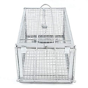 H&B Luxuries Rat Trap - Humane Live Animal Cage for Rat Mouse Hamster Mole Weasel Gopher Chipmunk Squirrels and More Rodents (Small)