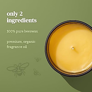 Elk Field Orange Clove Organic Beeswax Candle | 2 Ingredients | 100% Pure Beeswax Candles, Non Toxic, Natural, Organic Candles, Beeswax Candles Scented, Non Toxic Candles, 80 Hour, 10oz