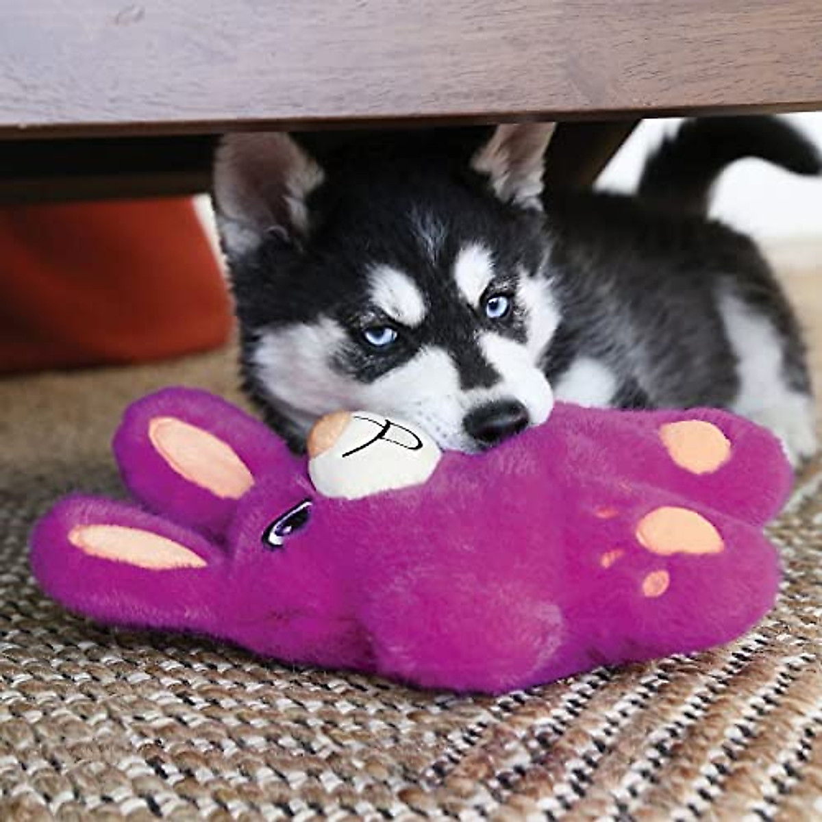 KONG Company 38749823: Snuzzles Dog Toy, Koala Md