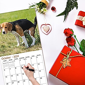 Gag Gift 2024 Wall Calendar, Funny Memes White Elephants Pooping Dogs Calendar 2024,14 Monthly Calendar, November 2023 - December 2024, 12" x 24" Opened Full Page Thick & Sturdy Paper for Organizing &