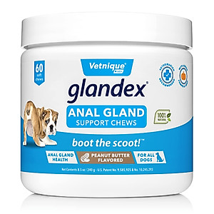 Glandex Anal Gland Peanut Butter Soft Chew 60ct and Profivex Probiotic Soft Chews Pork Liver 30ct Bundle