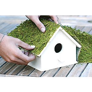 SuperMoss (22420) InstantGreen Moss Mat, Fresh Green, 18 x 16""