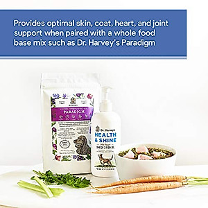 Dr. Harvey's Health & Shine Omega 3 Fish Oil for Dogs from Wild Caught Mackerel, Herring, Anchovies and Sardines - Supports Beautiful Fur, Strong Joints and Itchy Allergy Relief (16 FL OZ)