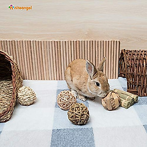 Niteangel Natural Chew Activity Toys Fun Safe Hay Grass Pet Balls for Chinchilla Guinea Pig Rats Rabbits Hamster Gerbil Degu Bunny and Other Small Animals