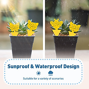 vertmuro 48 Pack Fruit Fly Traps for Indoor Outdoor, 3 Shapes Yellow Sticky Bug Traps, Double-Side Fungus Gnat Killer for Houseplants, Mosquitos, Flying Insects