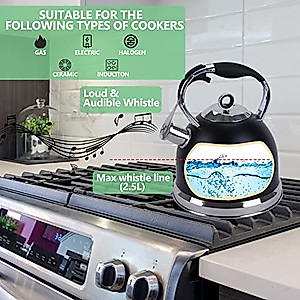 Foedo Tea Kettle, 3 Quart Whistling Tea Kettle for Stovetop with Cool Grip Ergonomic Handle, Food Grade Stainless Steel Tea Pots for Stove Top, Gas Electric Applicable