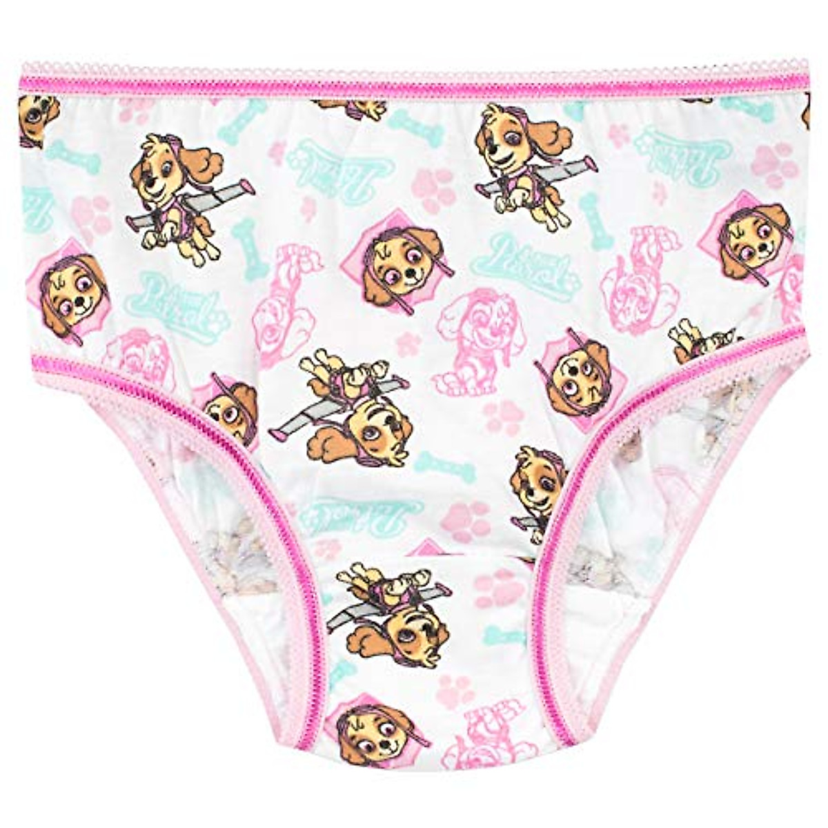 Paw Patrol Girls' Skye and Everest Underwear Size 5 Multicolored