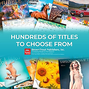 Black Cats | 2024 12 x 24 Inch Monthly Square Wall Calendar | Foil Stamped Cover | BrownTrout | Animals Kittens Feline