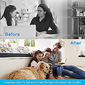 TREDY HEPA Filter Air Purifier for Home Large Room, H13 True HEPA Filter for Smoke, Dust, Hair, Pet Dander, Pollen, Ozone Free, Quiet, TD-1300