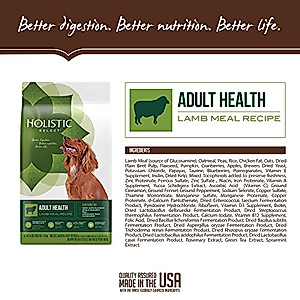 Holistic Select Natural Dry Dog Food, Lamb Meal Recipe, 30-Pound Bag