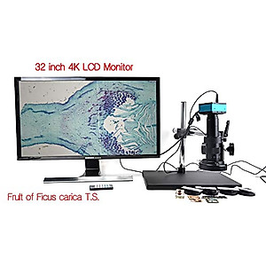 HAYEAR 4K HDMI Microscope Camera Kit for Industry Lab PCB USB Output TF Card Video Recorder +180X C-Mount Lens + Big Stereo Stand +144 LED Light