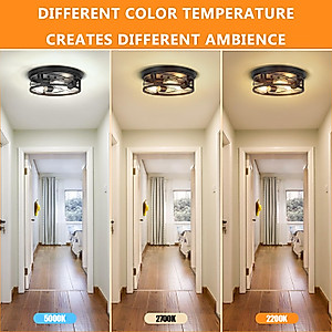 Feanron Flush Mount Ceiling Light Fixture, Black 3-Light Hallway Light Fixtures Ceiling, Light Fixtures Ceiling Mount for Farmhouse, Kitchen, Living Room (2 Pack, A19 LED Bulbs Included)