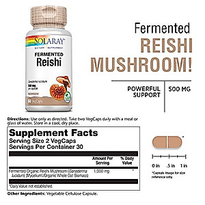 SOLARAY Fermented Reishi Mushroom 500mg | Healthy Immune, Heart & Brain Function Support | Energy & Mood Supplement | 60 VegCaps