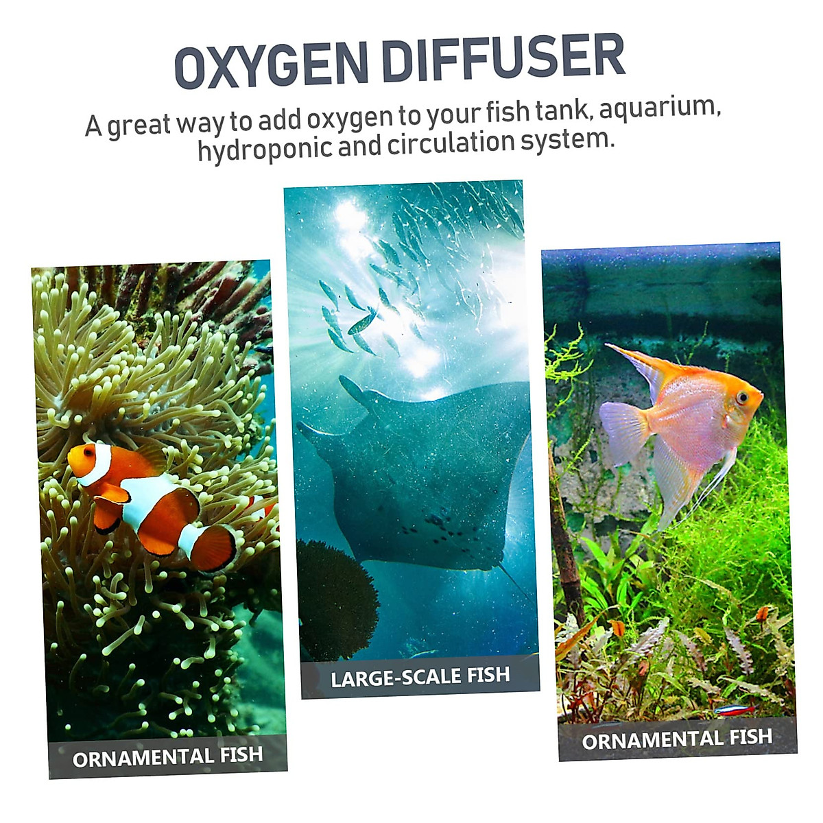 balacoo 3 Sets air Refiner Valve Connector air Check Valve air Tube Connector Fish Tank Fish Tank Pond OUL Diffuser Aerator for Aquarium White Appendix air Pump Plastic