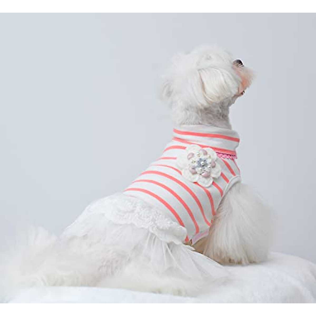 MSNFOASM Pet Dog Pink Stripe Dog Dress,Dog Tutu Lace Skirt Wedding Dress for Small Girl Dogs Cats（Pink Stripe M）