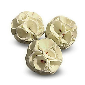 Meric Parrot Crepe Sola Ball, Shredding Joy for African Greys, Conures, and Macaws, Lowers Stress in Birds and People, Irresistible Cork Texture, End Excessive Plucking, 3 Balls per Pack