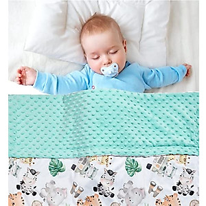 Baby Blanket Super Soft Minky Blanket Cute Animal Blanket with Dotted Backing for Newborns Nursery Stroller Receiving Toddlers Crib Bedding for Boy or Girl(30 x 40 Inch) (Animal)