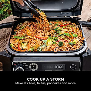 Ninja XSKGRIDPLTEUK Woodfire Flat Plate, Compatible with Ninja Woodfire Electric BBQ Grill (OG700 Series), Ceramic Coating, Non-Stick, Insert, Official Accessory, Black