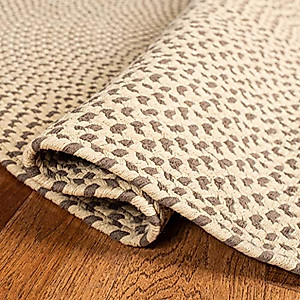 SAFAVIEH Braided Collection 4' x 6' Beige/Brown BRD173A Handmade Country Cottage Reversible Cotton Area Rug