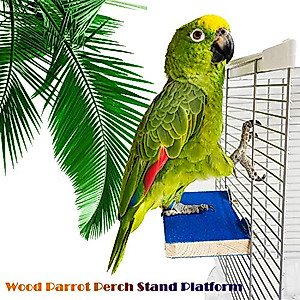 Bird Perch Bird Stand Platform Toy, Natural Wood Parrot Perch Paw Grinding Stick, Bird Cage Accessories Exercise Toys for Pet Parrot Budgies Parakeet Cockatiels Conure Lovebirds Rat Mouse Hamster
