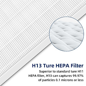APPLIANCEMATES HSP001 Filter Replacement for Hathaspace Air Purifier HSP001, 4-in-2 H13 True HEPA Filter and Activated Carbon Filter,2 Pack