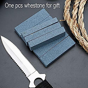 Garden Pruning Shears, 7.5" Hand Gardening Cutter, Professional Garden Scissors with Straight Stainless Steel Blade, Ultra Sharp Clippers Scissors for Trimming, Fruits, Flowers, Plants