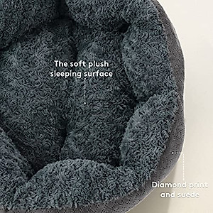 FURTIME Small Dog Beds for Small Dogs, Washable Dog Bed Orthopedic Rectangle Puppy Pet Bed, Durable Calming Dog Sofa Bed Soft Sleeping with Anti-Slip Bottom S (20"x19"x6")