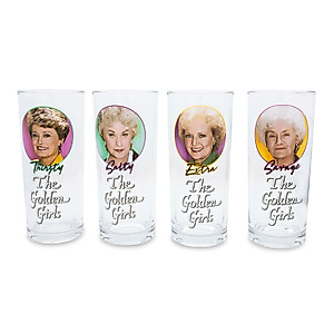 Silver Buffalo The Golden Girls Frames Logo 10-Ounce Tumbler Glasses | Set of 4