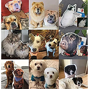 Customized Pillow, Personalized Pet Picture 3D Duplex Printing Body Dog Cat Shaped Pillow Gift for Lover, 16"