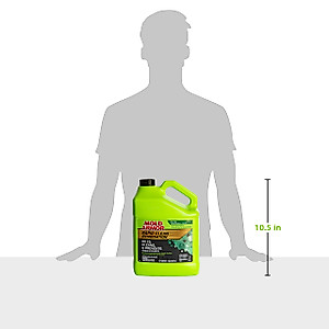 Mold Armor Rapid Clean Remediation, 1 Gallon; Kills, Cleans & Prevents Mold & Mildew