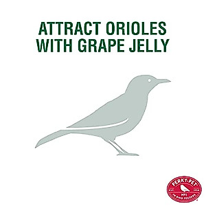 Perky-Pet 253 Wild Oriole Jelly Bird Feeder - 32 Ounce Feeder Capacity