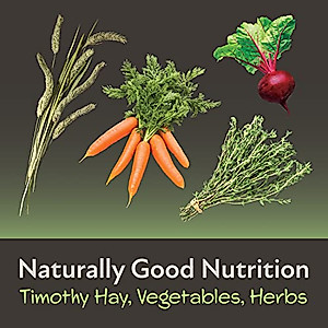 Kaytee Field+Forest Guinea Pig Food 4 Pounds