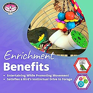 Super Bird Creations SB751 PVC Forager Bird Toy, Medium/Large Bird Size, 3” x 5” x 8”