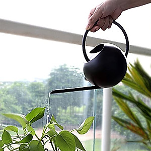 BDGWOIP Indoor Outdoor Watering Can, Stainless Steel Flower Cans Long Spout Plants Water Can Mini Device Plant Waterer for House Bonsai Garden Flower, Black, (33B15G0KNRFXX291L8GAWKSO)