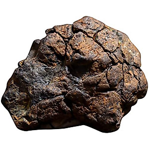 UKCOCO Real Meteorite Space Rock Meteorite Fossil Science Collection Lithosiderite Ornament with Box for Lab School Random Box Color