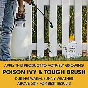 Roundup Concentrate Poison Ivy Killer Plus Tough Brush Killer for Weeds, Grass, Stumps with 24 hours Results, 32 oz.