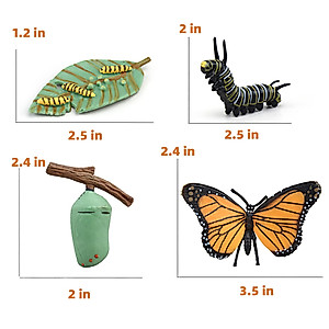 Montessori Life Cycle Learning & Education Toys, Plastic Insect Ladybug Monarch Butterfly Tadpole to Frog Kit Life Cycle Toys for Kids, Preschool Learning Activities for Toddlers