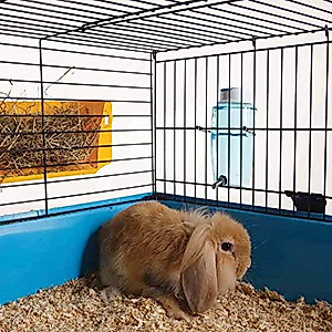 Lixit Top Fill No Drip Water Bottles for Small Animals and Birds. (Medium)